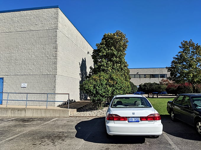 The parking lot reveals Michigan plates from counties far and wide—thrifting pilgrims who've traveled impressive distances for the famous bins.