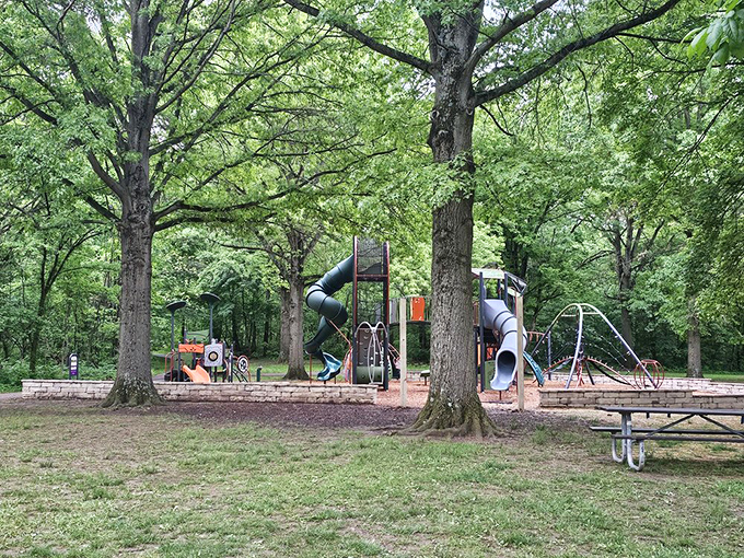 This playground nestled among towering trees gives kids the childhood we all wish we had—wild but safe, adventurous yet supervised.