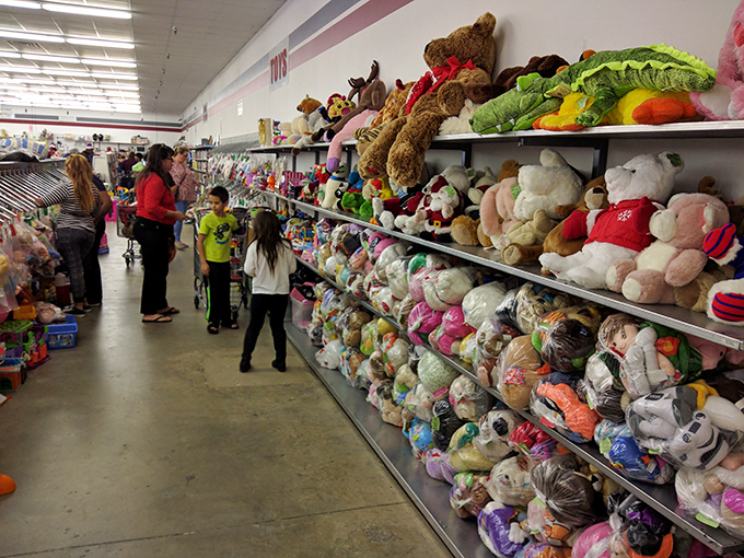 The stuffed animal adoption center. These gently-loved plush companions stand at attention, hoping to be the chosen one for a child's embrace.