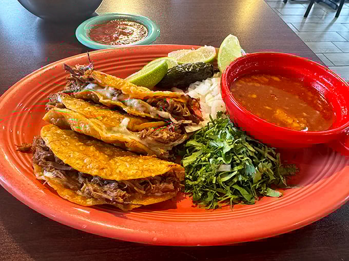 Quesabirria tacos aren't just a trend—they're edible art. Crispy tortillas filled with tender beef, meant for dipping in that vibrant consommé.