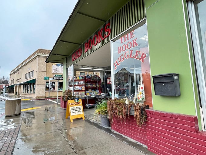 The Book Juggler offers literary escapes for every taste—the kind of independent bookstore that feeds both mind and community.