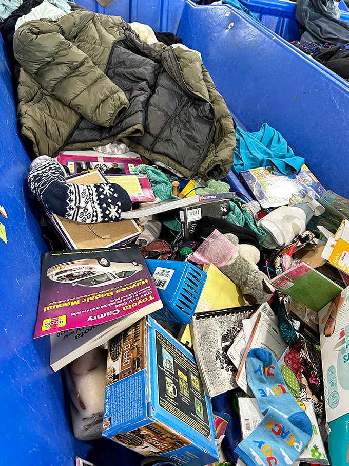 Winter coats and forgotten books create a scavenger's delight—that perfect hardcover or down jacket might be lurking just beneath the surface.