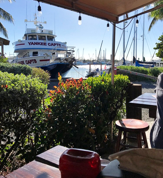 Dining with a dock view—where your seafood lunch comes with a side of working marina authenticity no oceanfront resort can match.
