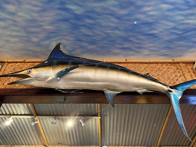 That marlin isn't just decoration—it's silently judging your seafood-ordering skills from its perch of honor.