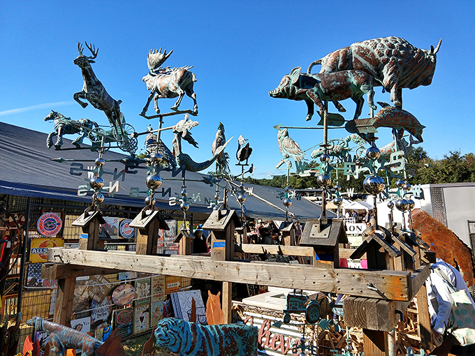 Metal menagerie catching the Florida breeze. These weathervanes and sculptures bring whimsical wildlife to even the most urban backyard.