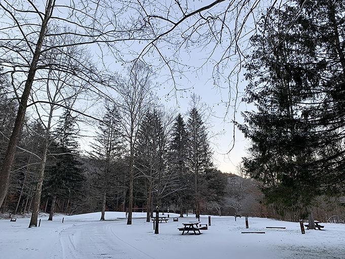 Winter transforms Ole Bull into a hushed wonderland where the only sound is the soft crunch of snow beneath boots and the occasional "wow" from visitors.