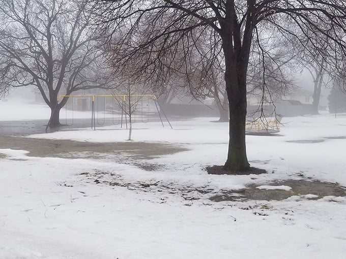 Winter transforms Seward's parks into misty wonderlands where bare trees stand like sentinels guarding the quiet beauty of Nebraska's coldest season.