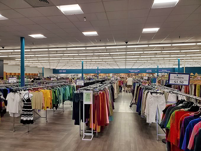 Color-coded clothing racks that transform the often chaotic thrift experience into something almost zen-like.