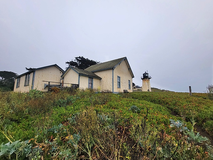 The lighthouse keeper's domain rises from coastal vegetation like something from a Brontë novel. Wildflowers and historic architecture create the perfect California coastal aesthetic.