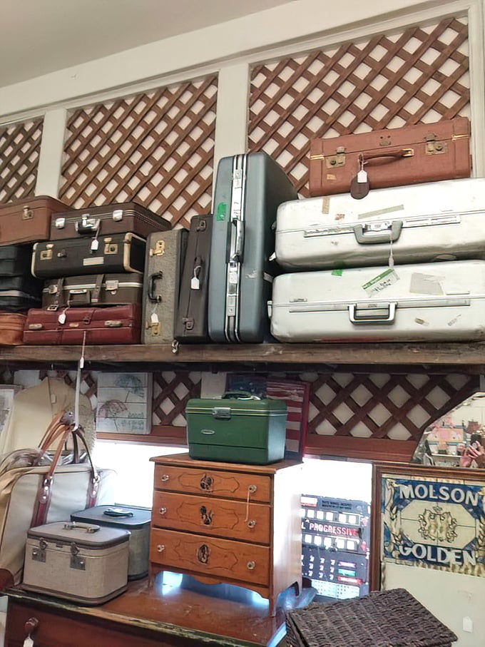 Vintage luggage that's seen more of the world than most of us—each scratch and dent representing a journey from another era.