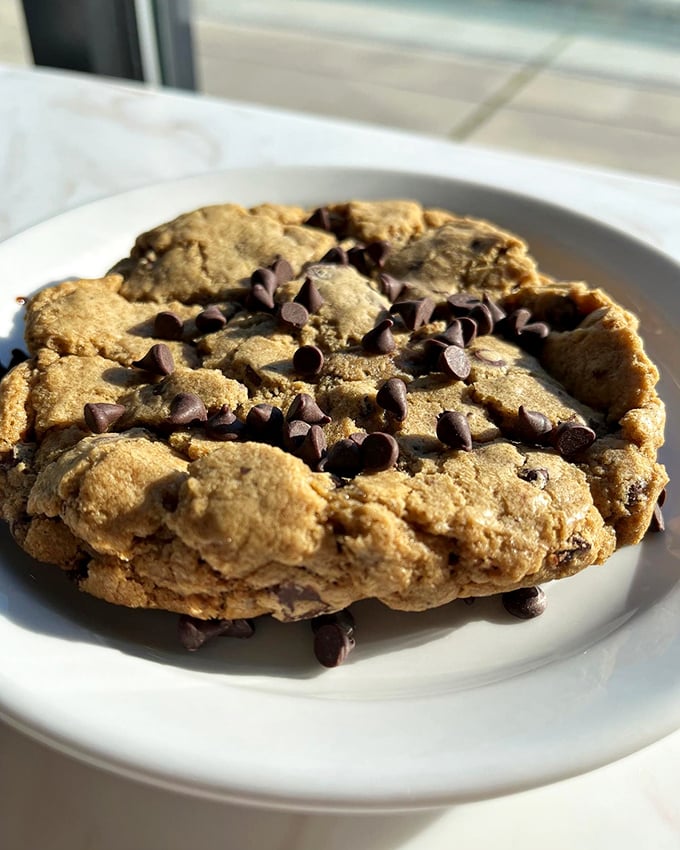 A chocolate chip cookie that clearly went to finishing school—perfectly golden, generously studded with chocolate, and large enough to share (but you won't want to).