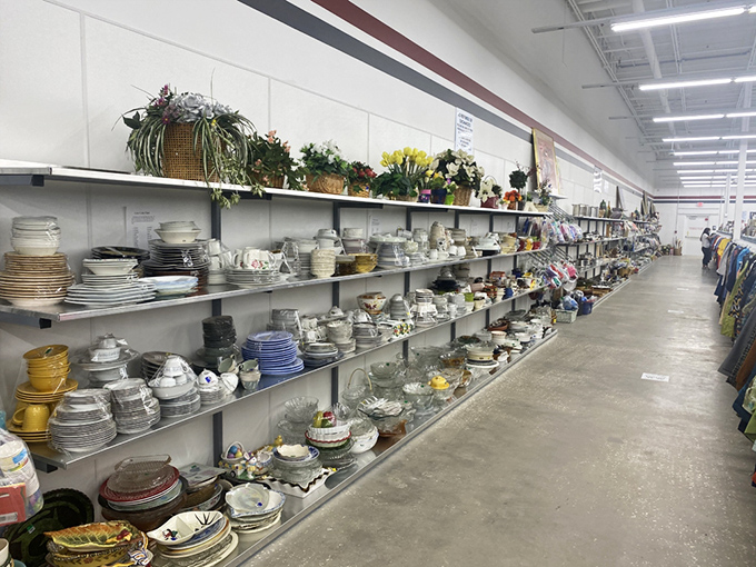 Dish department dreams come true for mismatched tableware enthusiasts. Mix vintage plates with modern bowls and create a dining experience that's uniquely yours—for pennies on the dollar.