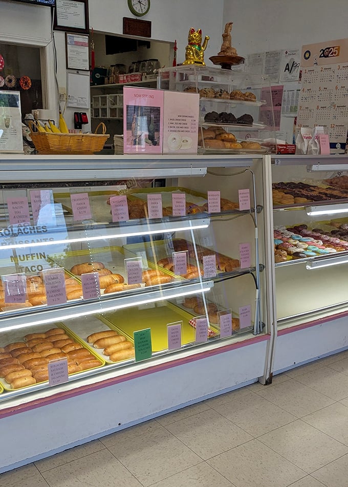 The display case – a museum of morning masterpieces where each pastry waits patiently for its forever home. Choose wisely, choose often.