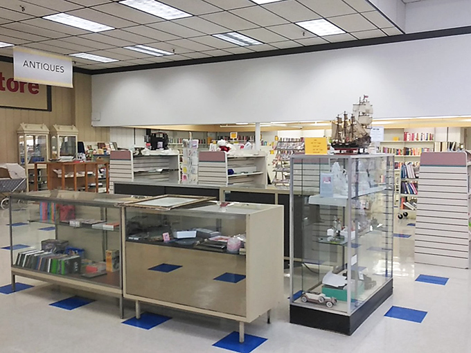 Display cases housing miniature treasures – where collectibles wait patiently for someone who'll appreciate their quirky charm.