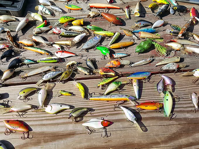 A fisherman's fantasy spread across weathered wood – each lure designed to catch not just fish, but the imagination of collectors who appreciate functional art.