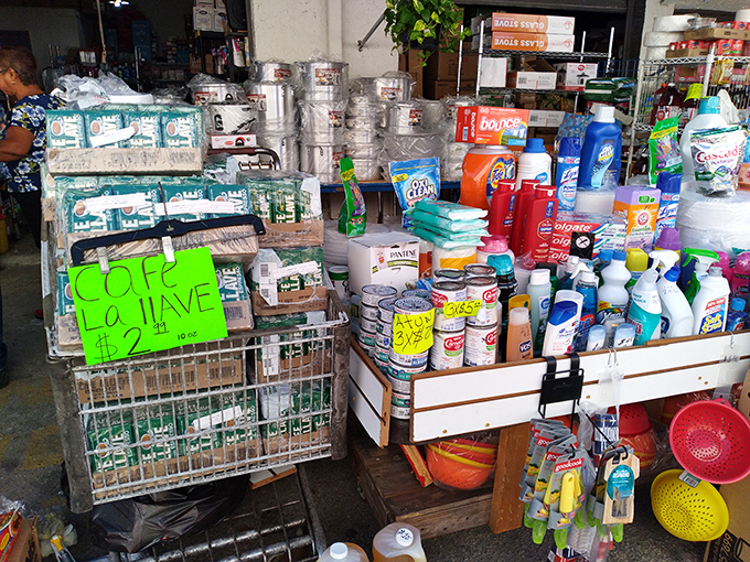 Household essentials stacked with chaotic precision—where cleaning supplies and paper goods become unexpected treasures during hurricane season.