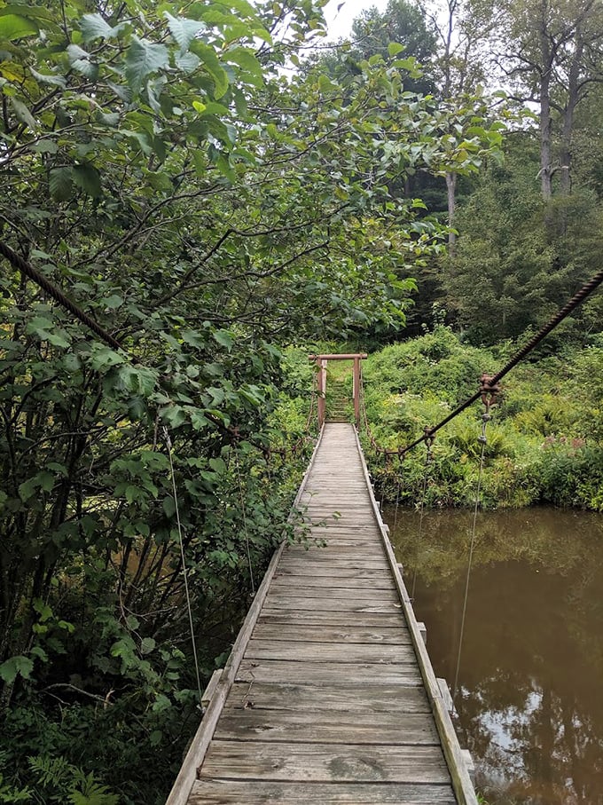 Walking this wooden bridge feels like stepping into a storybook. Just magical enough to make adults wonder if trolls might live underneath.