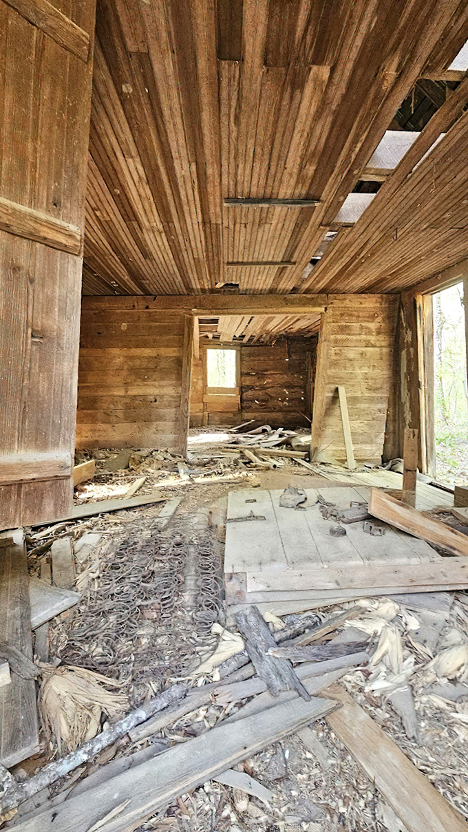 Inside an abandoned cabin where the walls could tell stories of rural life – if they weren't too busy slowly collapsing.