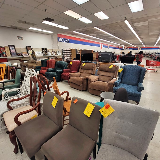 The living room audition – these sofas and armchairs compete for the starring role in your home, each offering comfort with its own unique character.