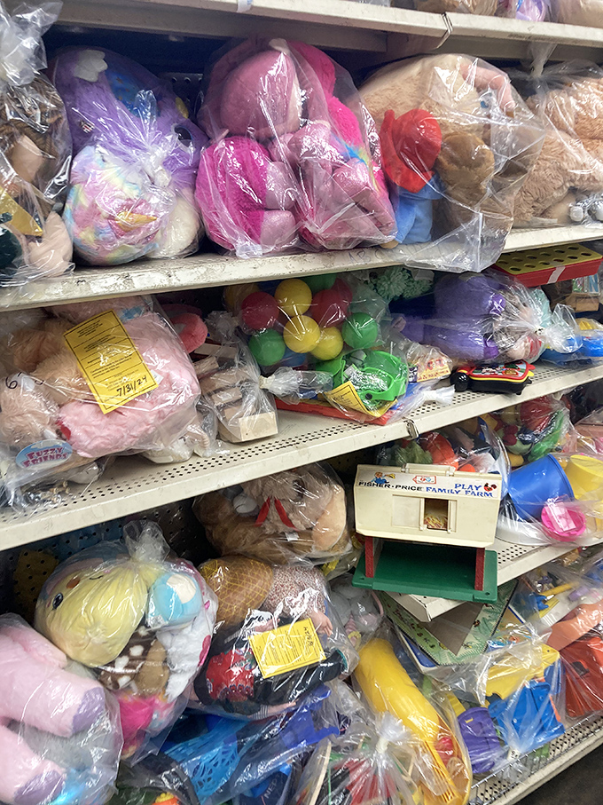 Stuffed animal adoption center – each plush friend hoping you'll take them home instead of letting them star in "Toy Story: Thrift Shop Edition."