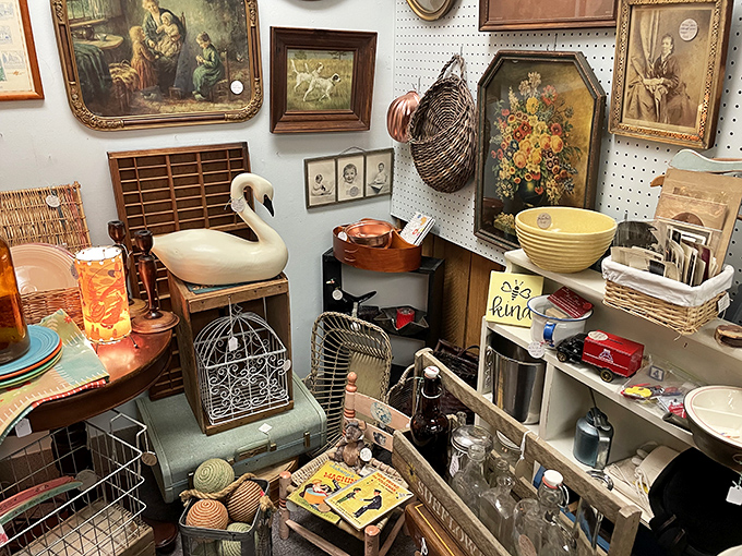 The corner where tchotchke dreams are made—from ceramic swans to vintage paintings, it's a gallery of the gloriously specific.