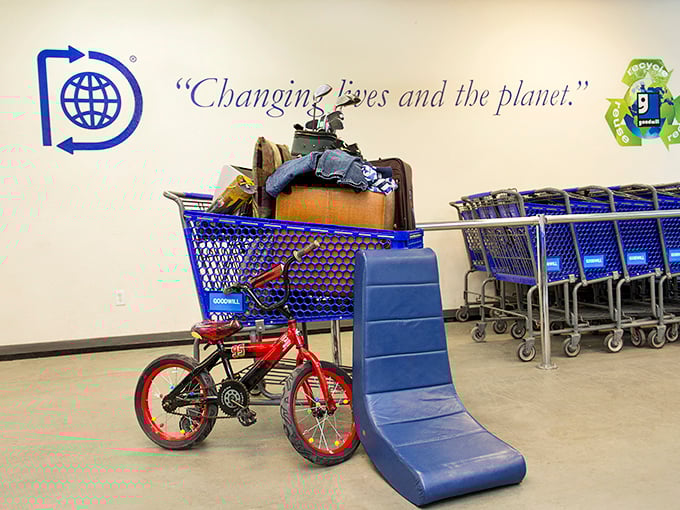 The cart corral—where vehicles of possibility wait for ambitious shoppers to fill them with treasures that others overlooked.