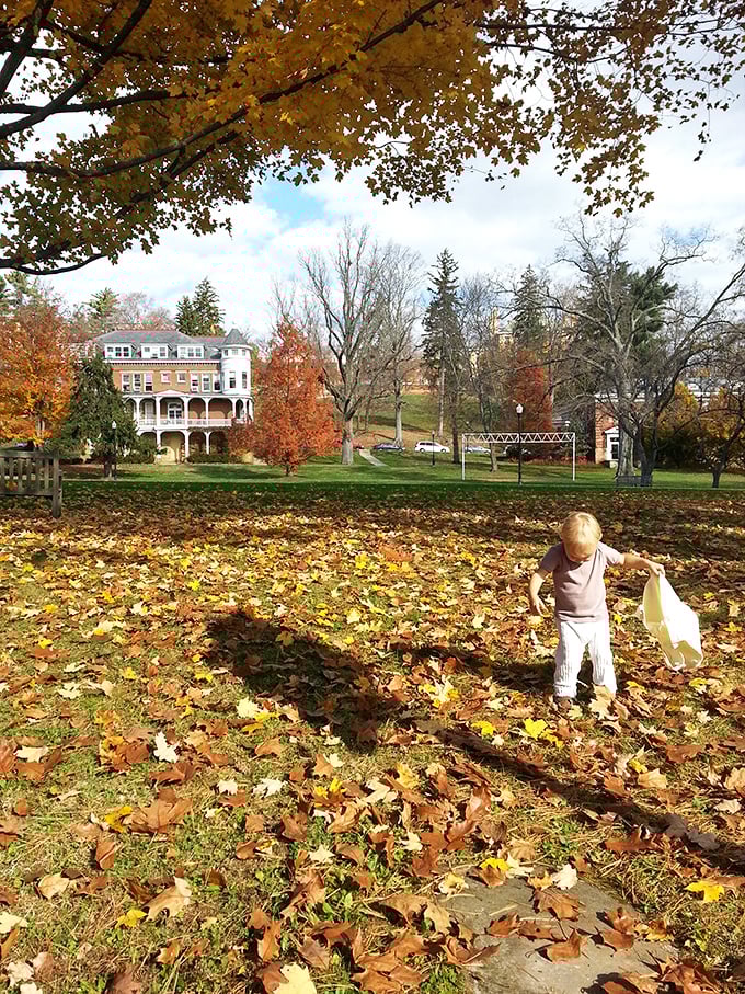 Fall in Granville isn't just a season—it's a spectacle where even toddlers become leaf collectors and amateur photographers multiply.