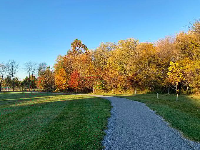 Fall paints Boonsboro's landscape with nature's most vibrant palette – proving that Maryland autumn rivals New England's most Instagram-worthy scenes.