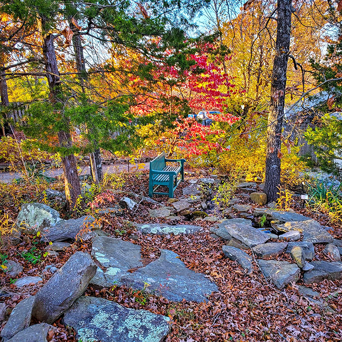Stone steps and a gentle stream create nature's amphitheater—proof that the Ozarks were designing Instagram-worthy spots long before smartphones. 