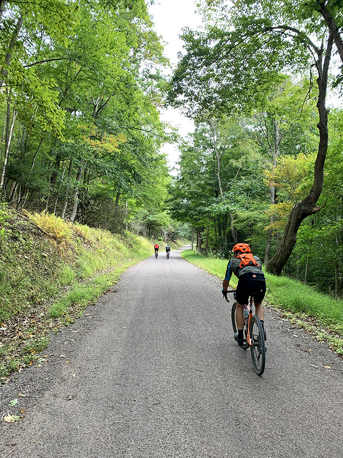 Cyclists on the nearby trail pedal through a green cathedral. Who needs spin class when you've got scenery like this?
