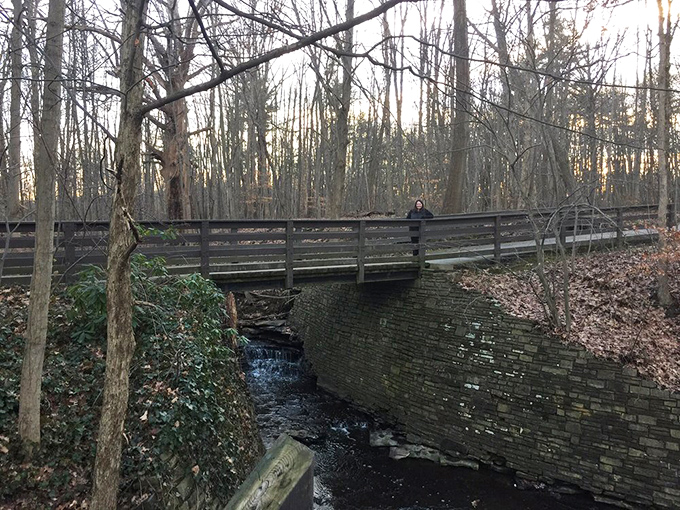 A rustic bridge crosses a woodland stream nearby—proving that every proper castle needs its own charming surroundings to complete the fairy tale.