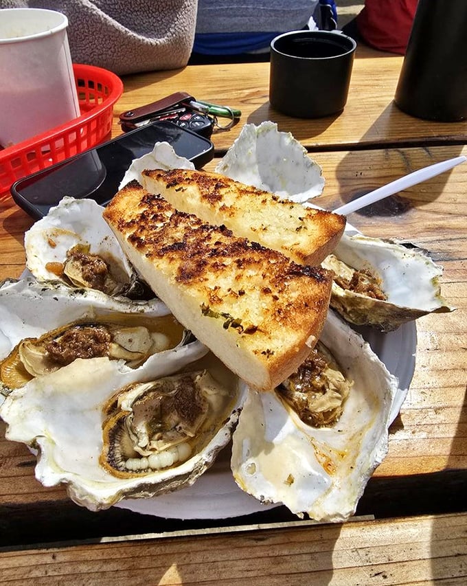 Grilled oysters with garlic bread – the ocean and land coming together in a dish that makes you want to high-five strangers.