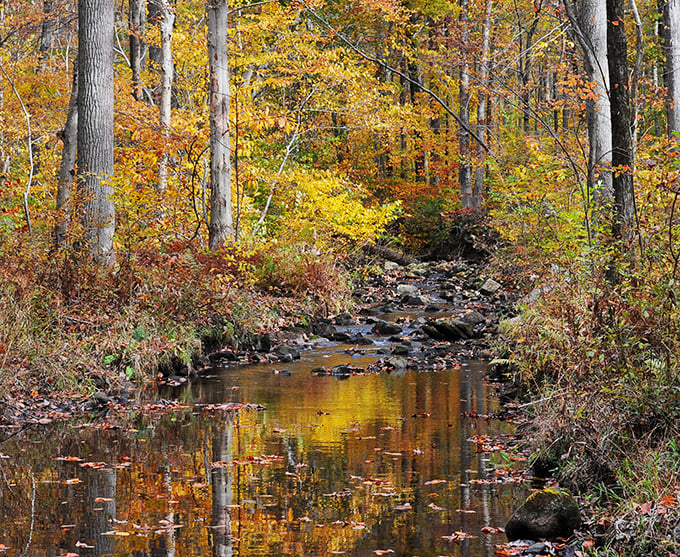 Autumn creek reflections creating a double feature of fall colors. Nature's way of saying, "You like those leaves? Here, have them twice."