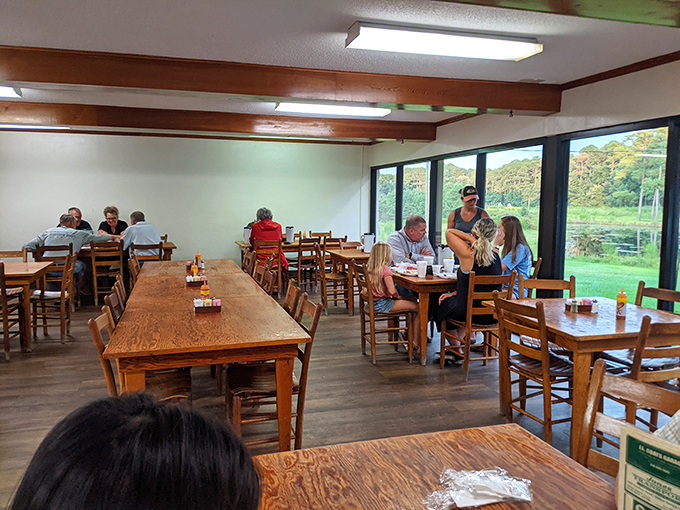 Windows overlooking nature while you dine – because good barbecue deserves good scenery, even if you're too focused on your plate to notice.