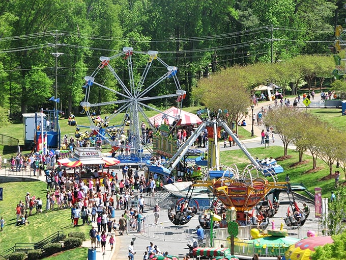Seasonal festivals bring carnival rides and community spirit in equal measure, creating memories that cost far less than those theme park vacations.