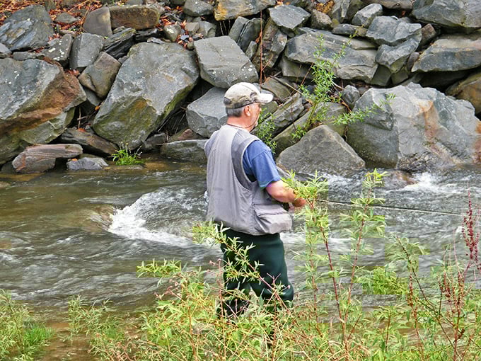 This isn't just fishing; it's meditation with the occasional interruption of actually catching something.