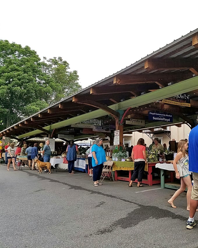Saturday morning perfection at Floyd Farmers Market. Where "locally sourced" isn't a trendy phrase—it's just how things have always been done.