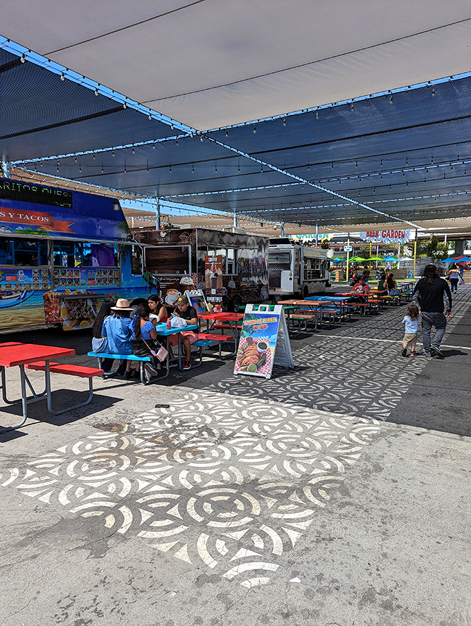 Food truck heaven where picnic tables become community dining rooms and strangers bond over the universal language of delicious tacos. 
