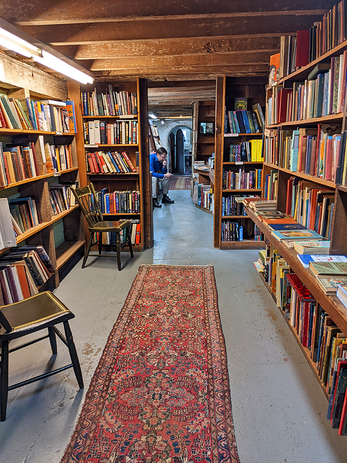 Oriental runners guide you through literary canyons where wooden chairs invite you to pause, sample a page, and perhaps find your next favorite author.