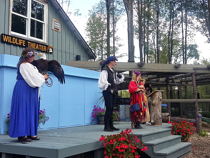 Where wildlife education meets theatrical presentation – proving learning doesn't have to choose between informative and entertaining.