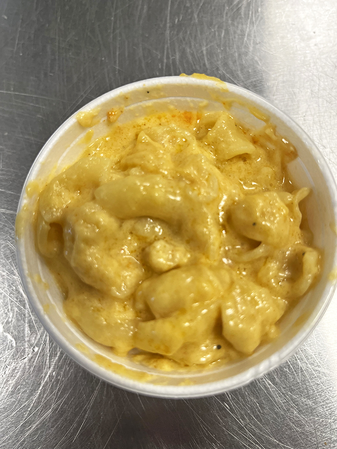Mac and cheese that achieves that perfect molten-to-creamy consistency—comfort food that doesn't need to show off to impress.