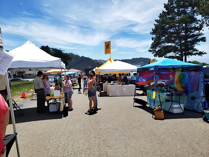 The farmers market showcases the bounty of Mendocino County, where "locally sourced" isn't a trend but a way of life.