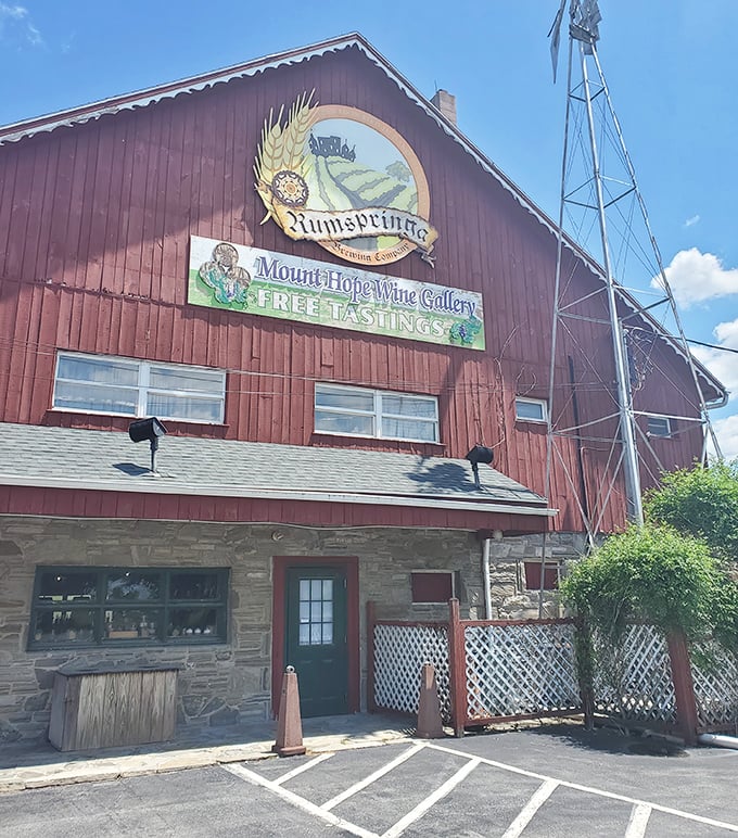 This isn't just a wine gallery in a barn—it's proof that good taste can flourish anywhere, even where you least expect to find a decent glass of Riesling.