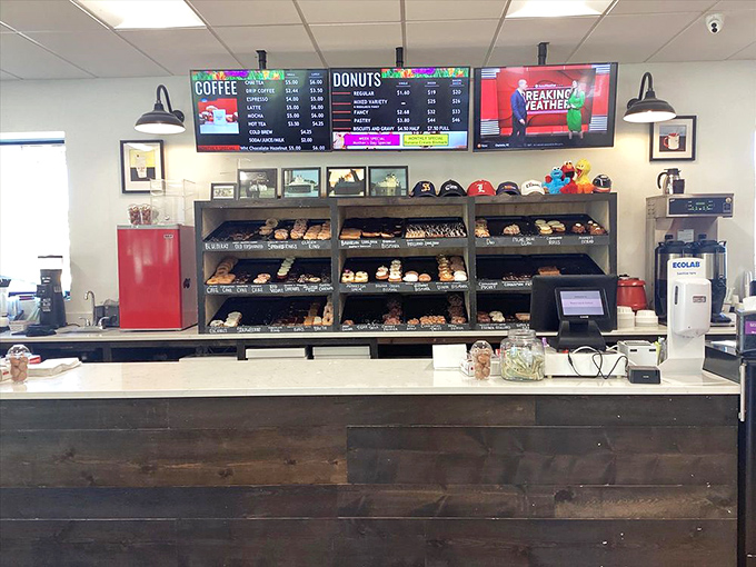 Where donut dreams come true – shelves filled with handcrafted delights that make choosing just one nearly impossible.