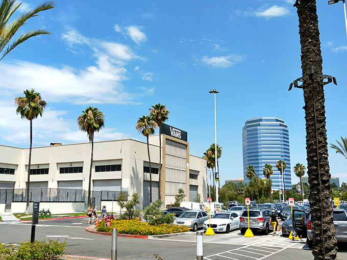 Actual parking spaces that fit real cars – a California miracle worth celebrating with genuine enthusiasm. 