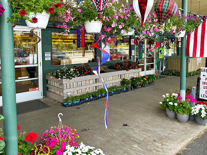 The entrance blooms with possibility—these flowers and hanging baskets offer a colorful welcome to shoppers seeking both beauty and bargains.