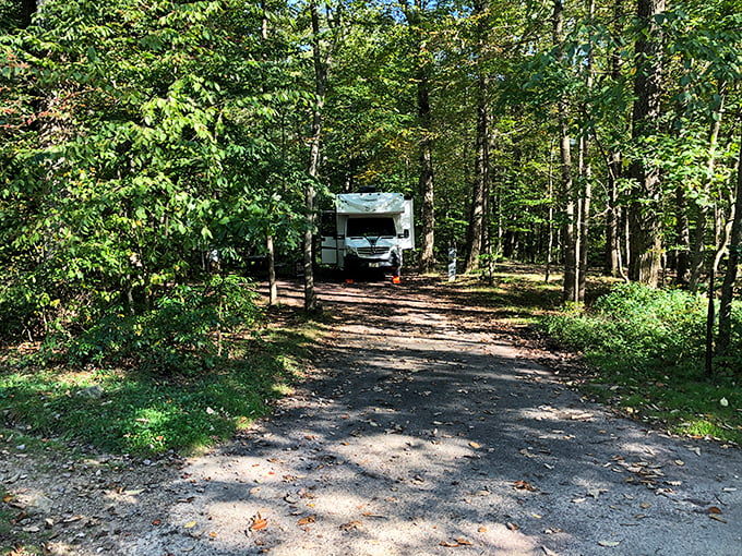 Camping's evolved since our grandparents' canvas tent days, but the joy of waking up surrounded by Pennsylvania's forests remains timeless.
