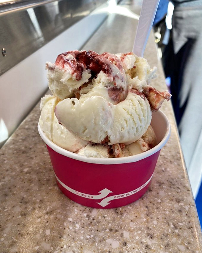 This cup doesn't just contain ice cream—it's holding what appears to be chunks of cheesecake in vanilla, creating a dessert inception that would make Christopher Nolan jealous.