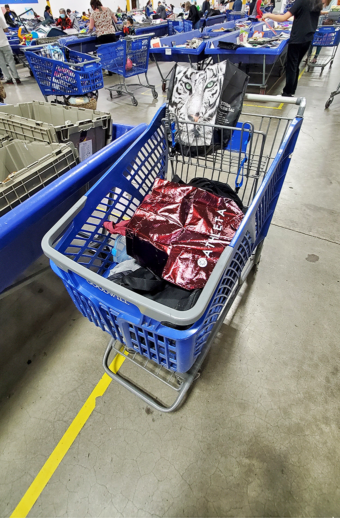A shopping cart that tells its own story—each item representing victory in the gentle combat of outlet shopping.