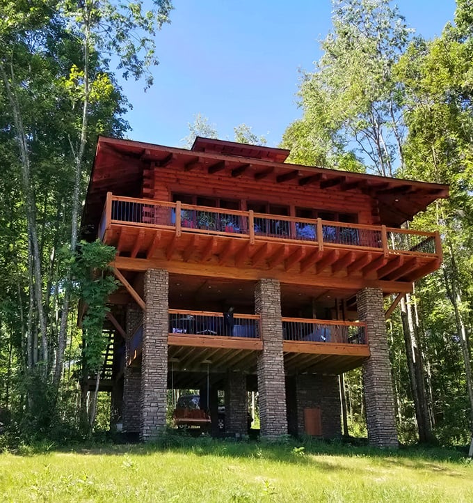 Not your childhood treehouse—unless your childhood involved architectural degrees and a surprisingly flexible building code inspector.